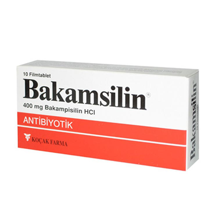 All Categories - UrbanDine